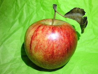 Smoothies selbst machen: 10 leckere Smoothie-Rezepte